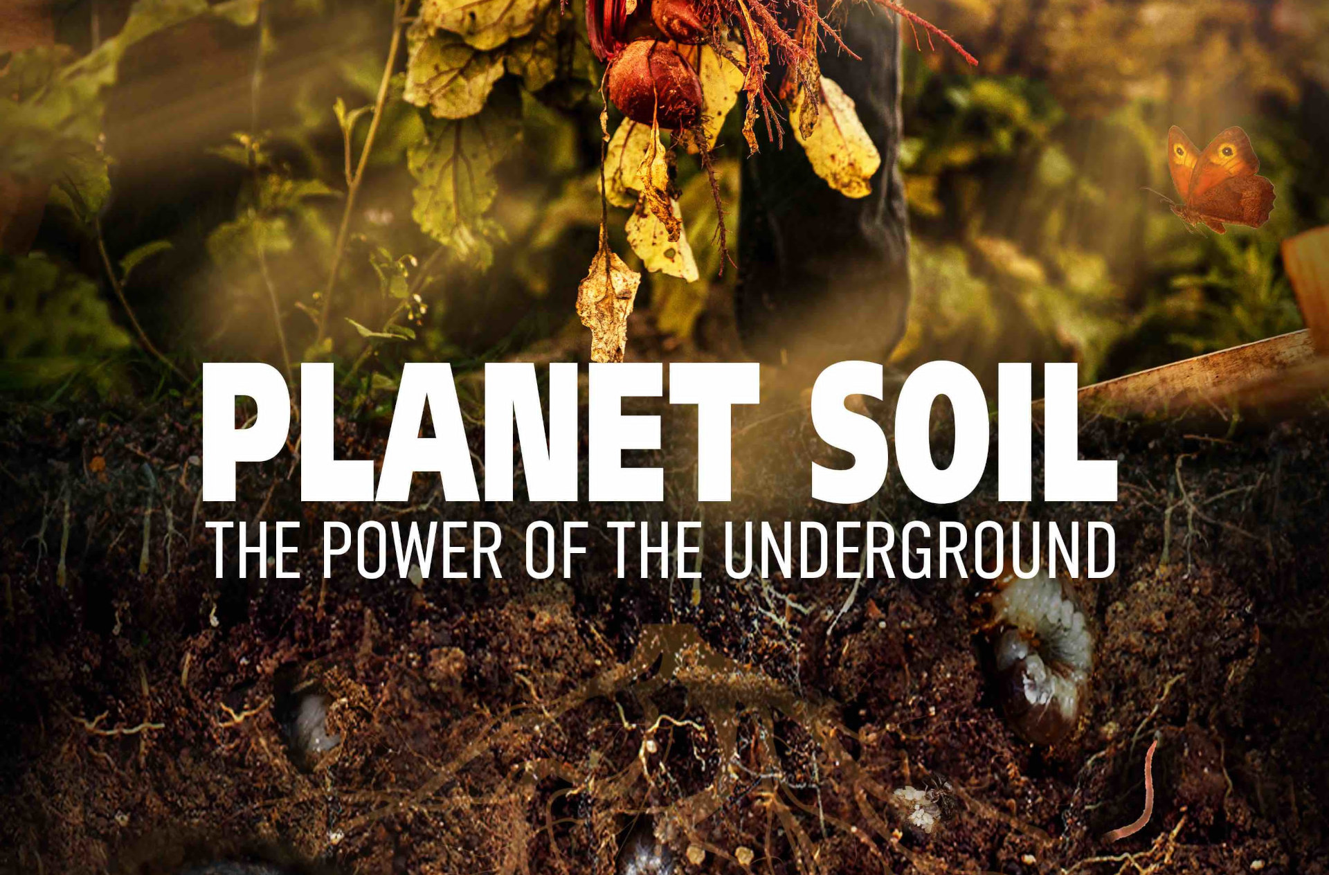 Bodenkinotag: "Planet Soil" – Kosmos Boden. | Linz-Termine